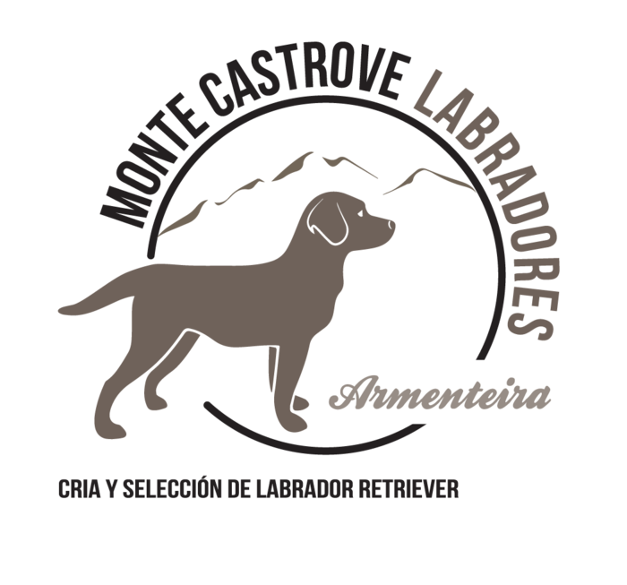 Bulldog Francés Atigrado: Características y Cuidados Específicos ...